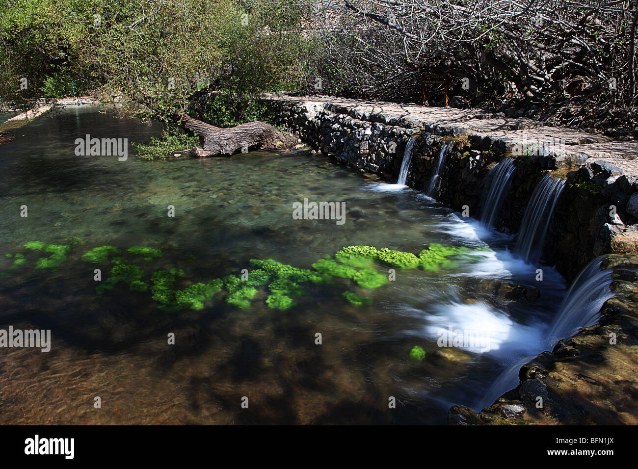 Israel, Golan Heights Flowing water in the Hermon River (Banias river ...