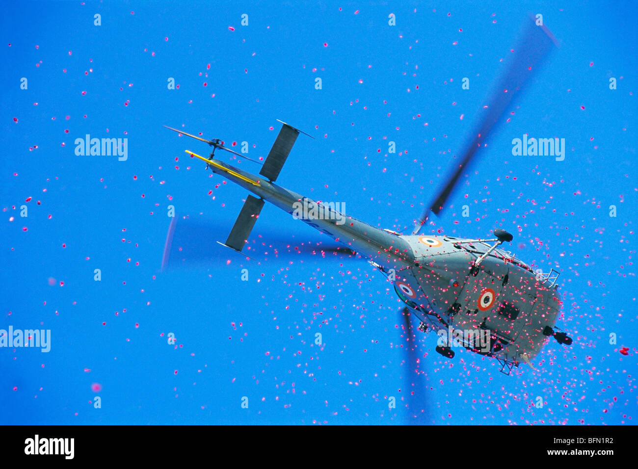 Helicopter showering flowers rose petals ; Rajkot ; Gujarat ; India ...
