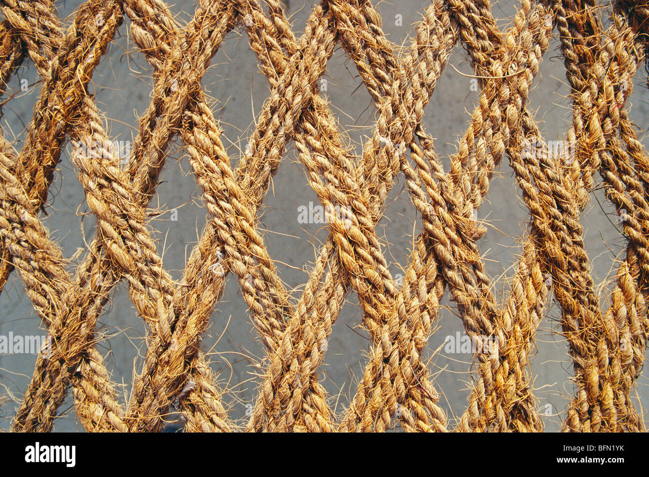 Coir strings ; Charpai ; Charpaya ; Charpoy ; Khat ; Manji ; Khaat ...