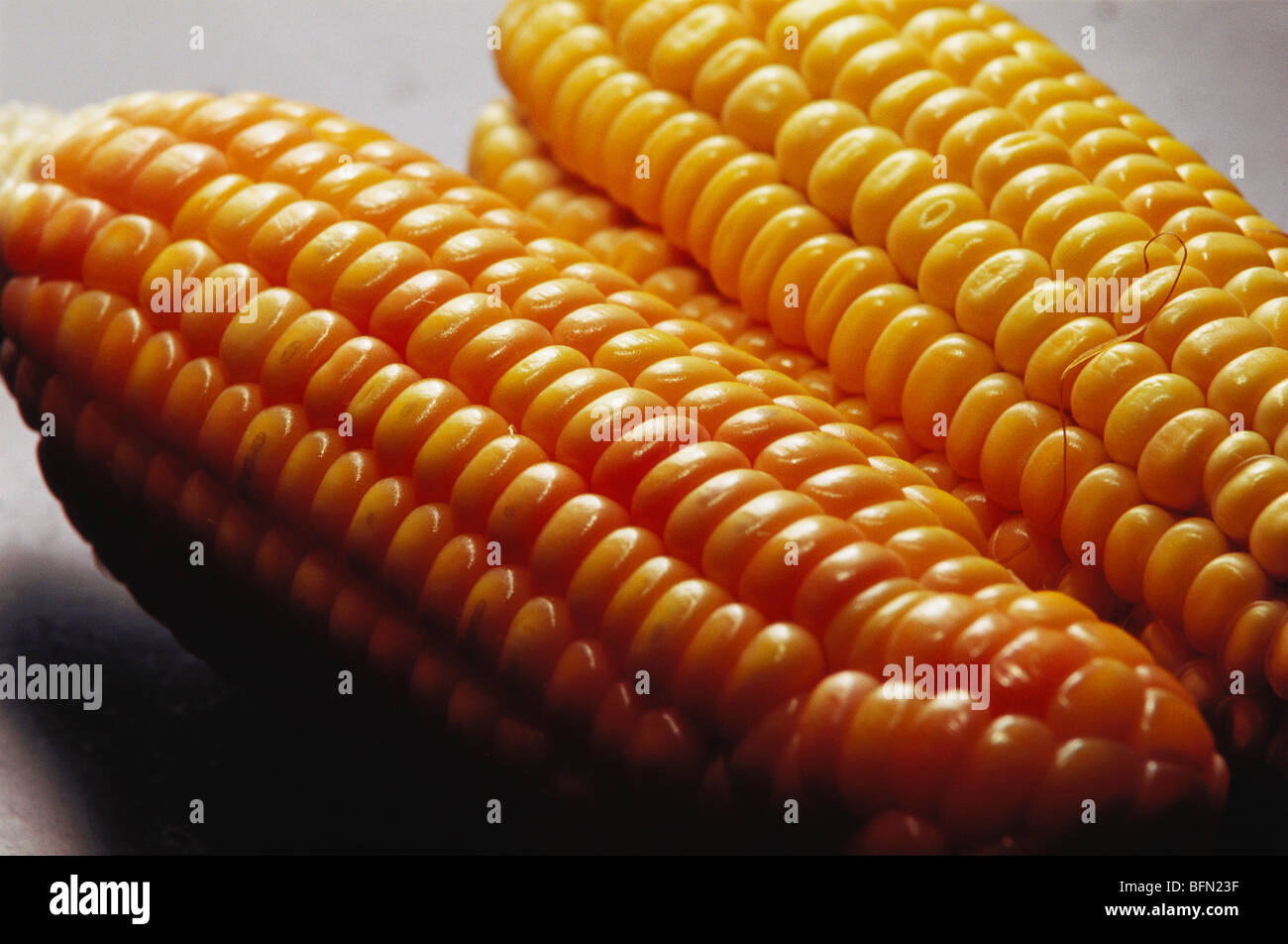 Corn maize bhutta hi-res stock photography and images - Alamy