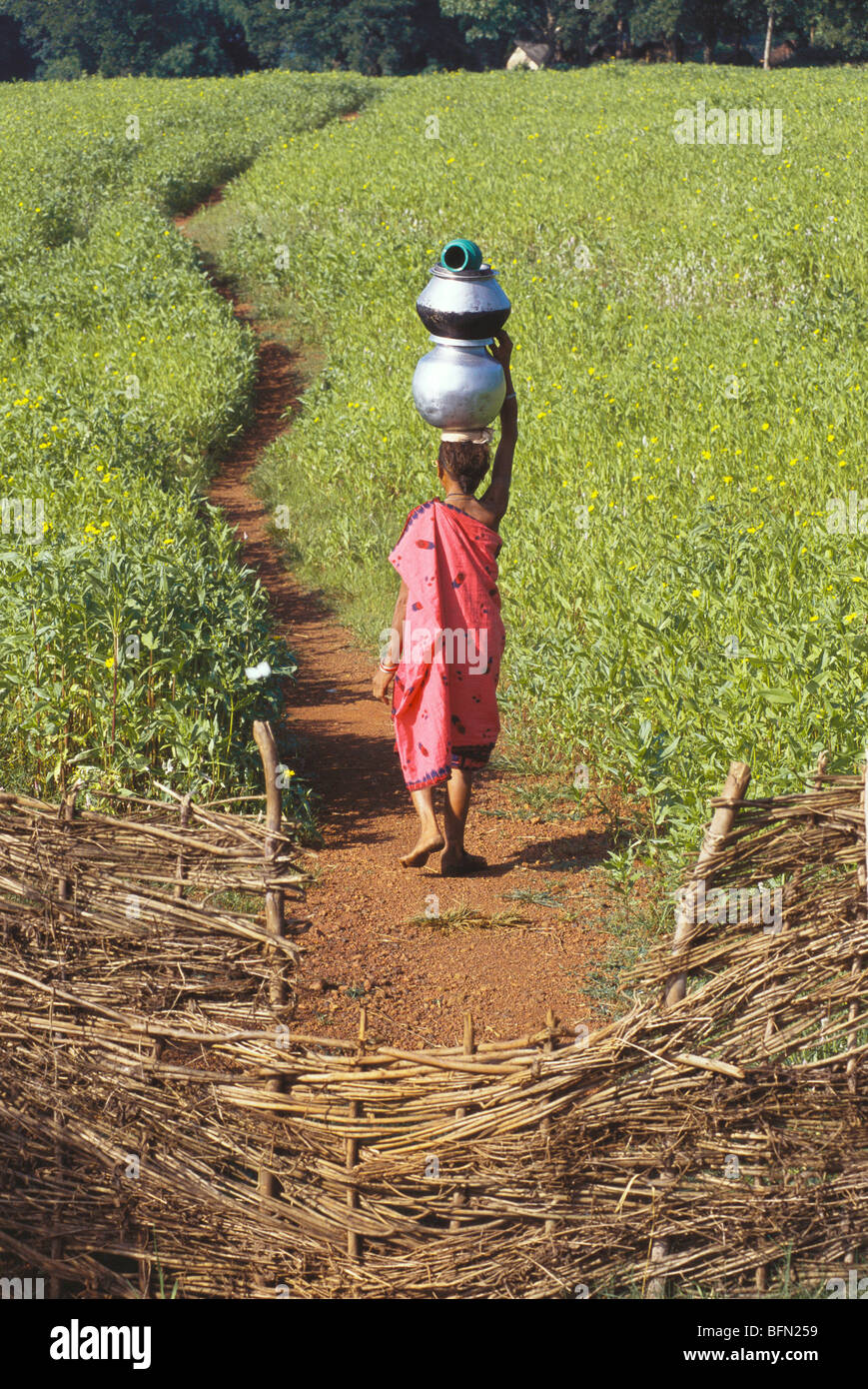 Lady Carrying Pots High Resolution Stock Photography and Images - Alamy