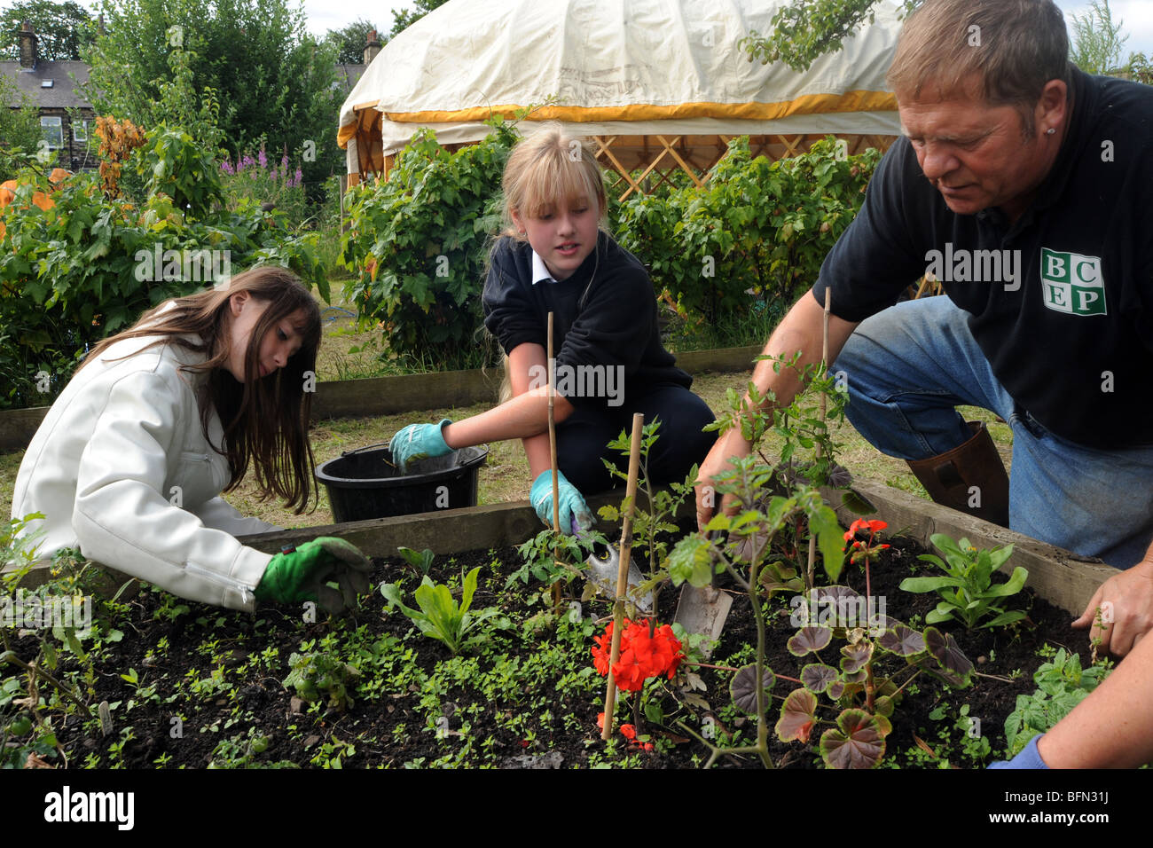 Children visit allotments from local schools, Bradford Stock Photo - Alamy