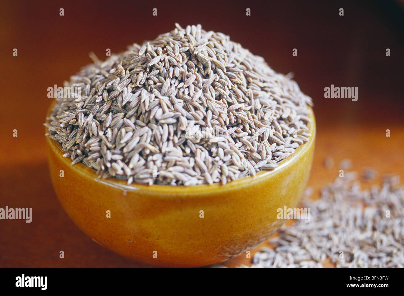 Cumin seeds jeera cuminum cyminum hi-res stock photography and images ...