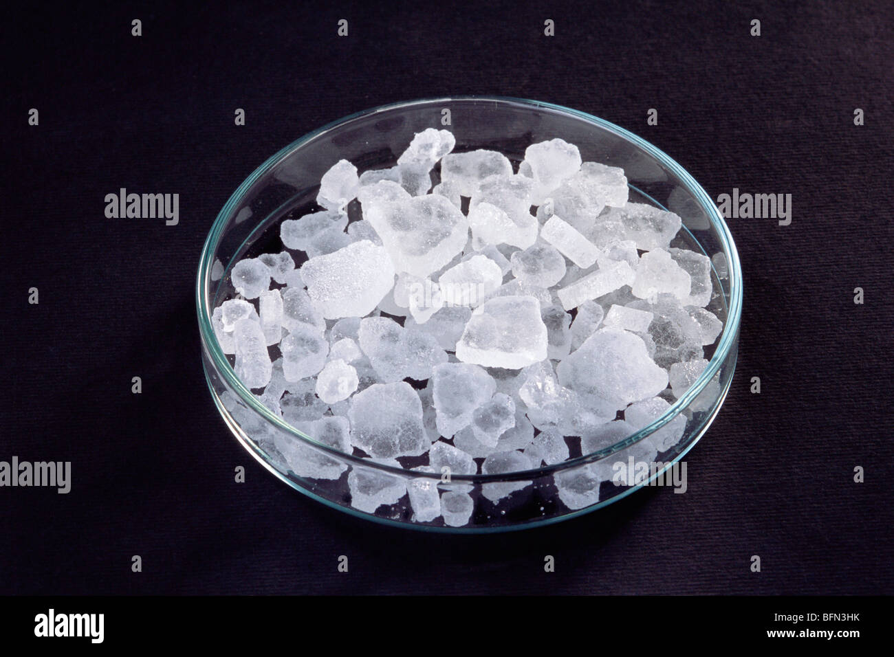 camphor cinnamomum camphora in glass plate on black background Stock ...