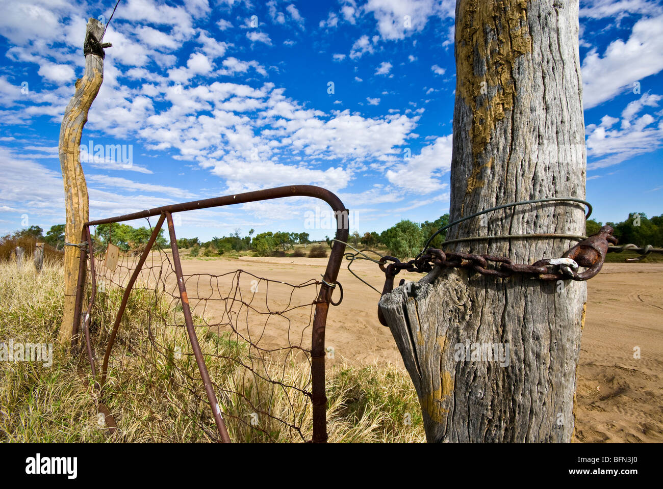 Old tree stumps support an antique steel gate to dry farmland pasture ...