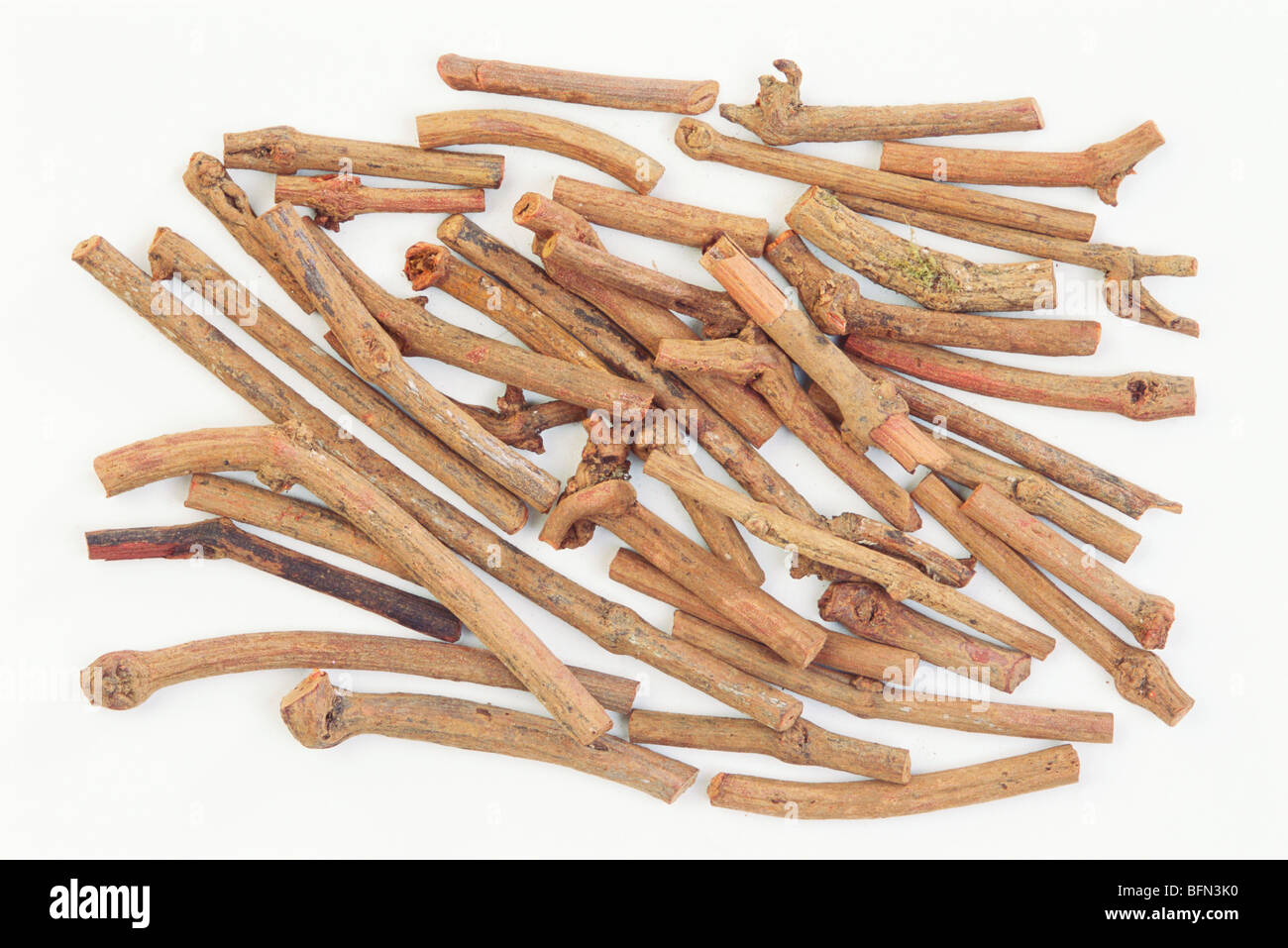 manjistha ; indian madder ; rubia cordifolia linn on white background ...