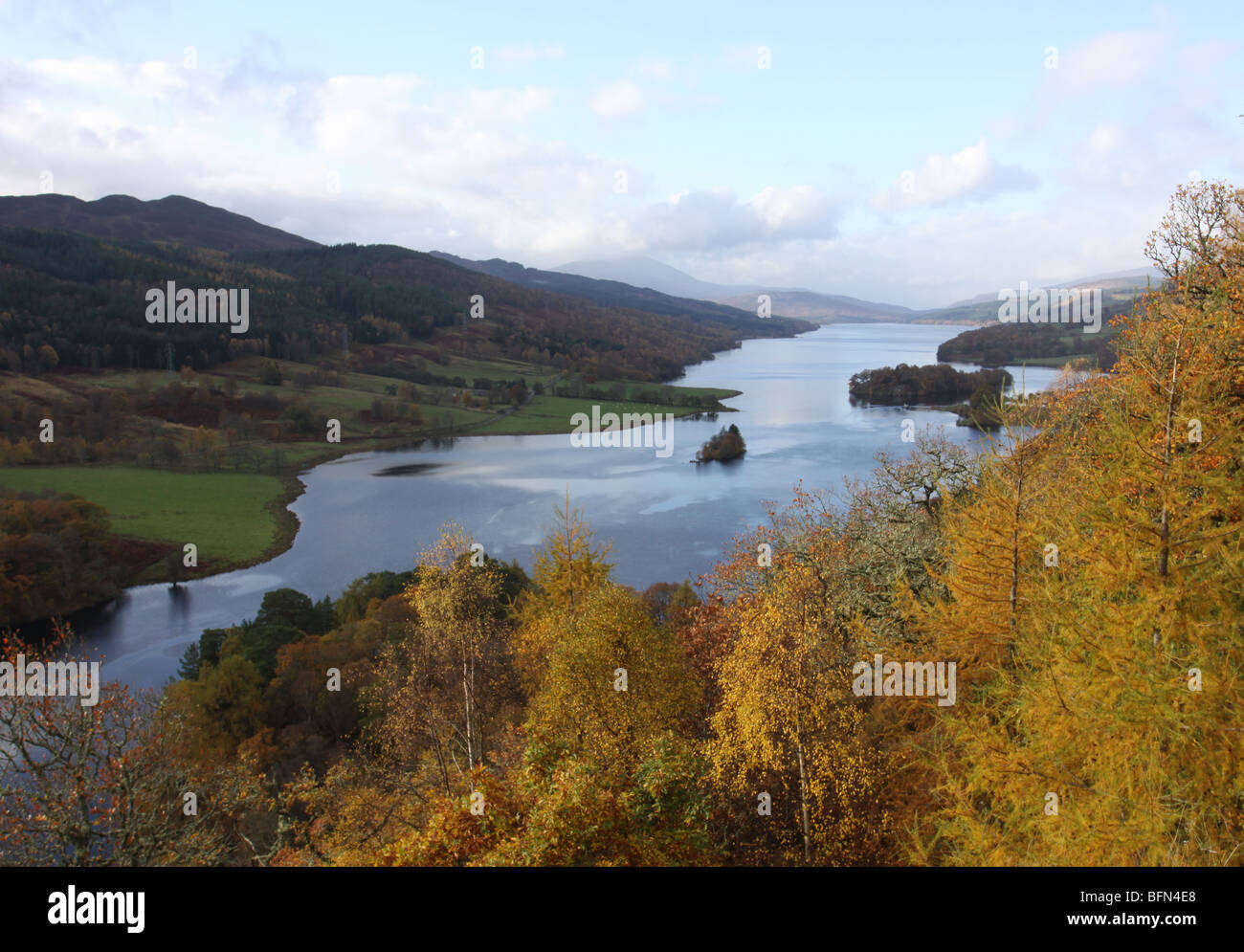 Queens view forest hi-res stock photography and images - Alamy