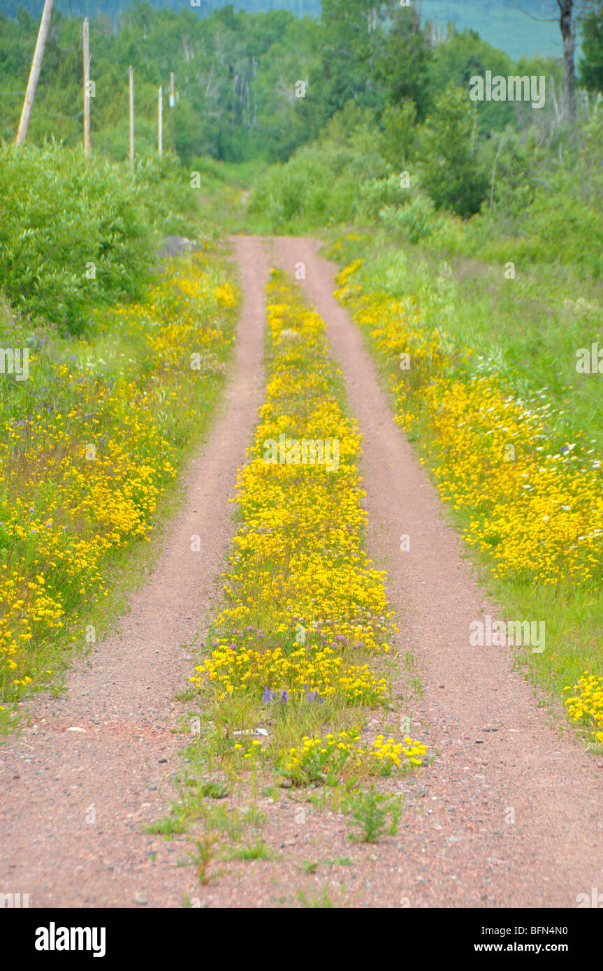Ont the road hi-res stock photography and images - Alamy