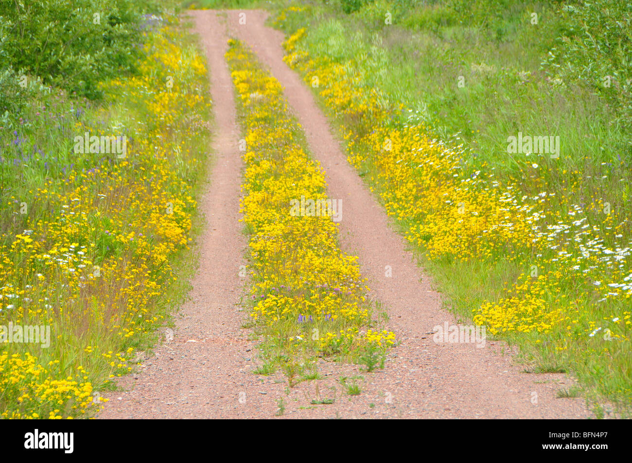 Ont the road hi-res stock photography and images - Alamy
