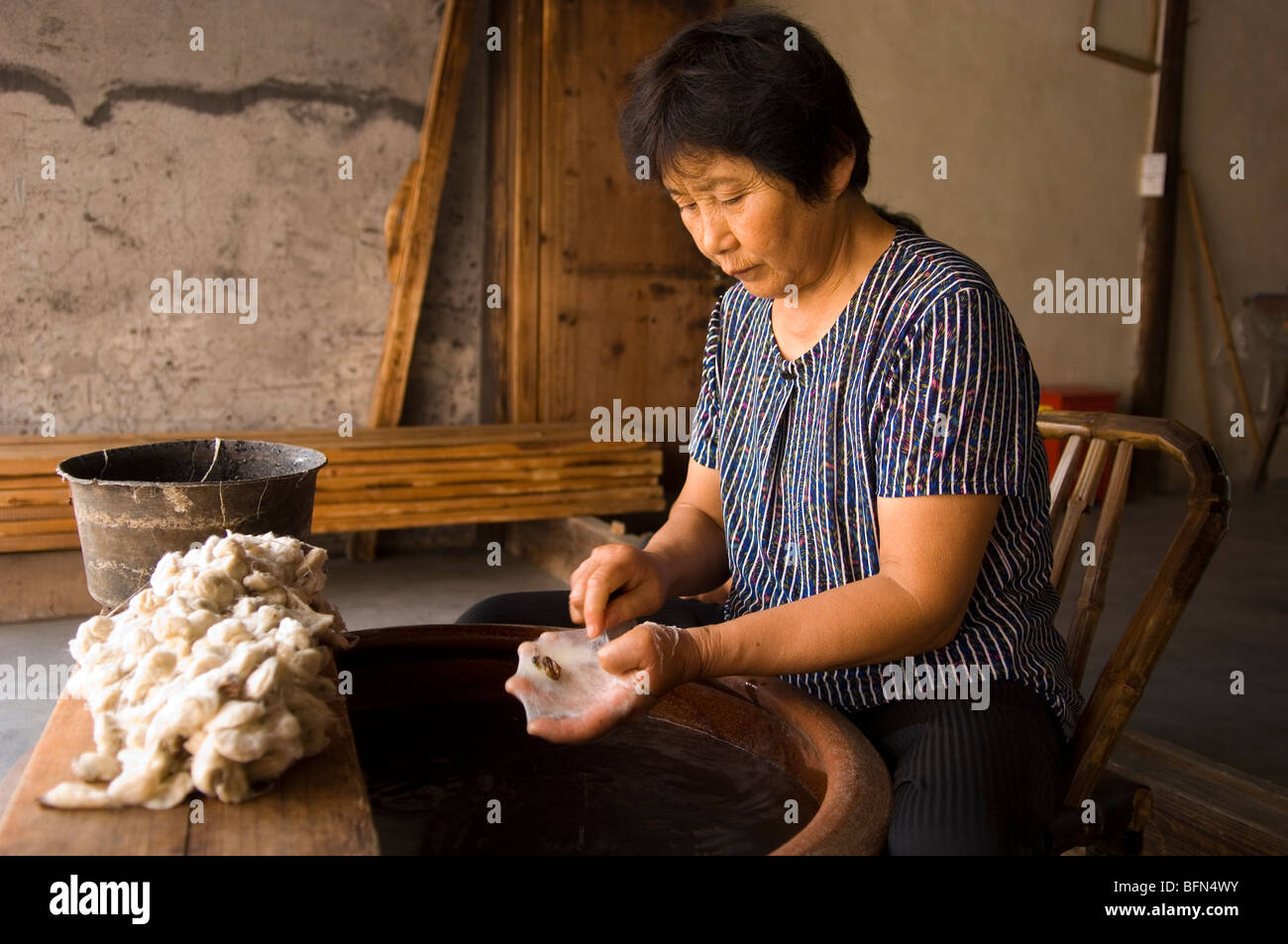 Woman harvesting the silk filaments after heating the cocoons. Wuzhen ...