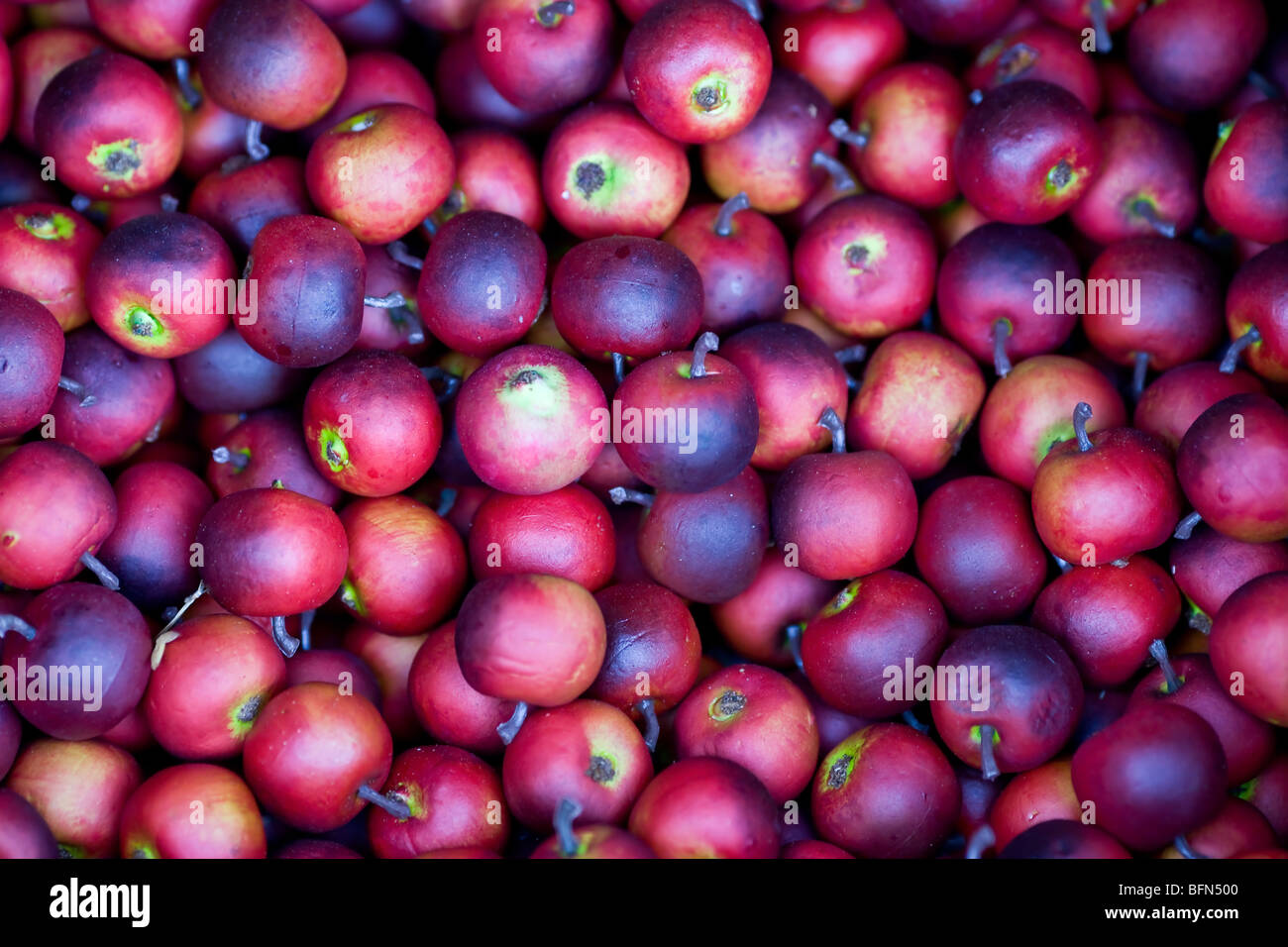 Heap of apples Stock Photo - Alamy