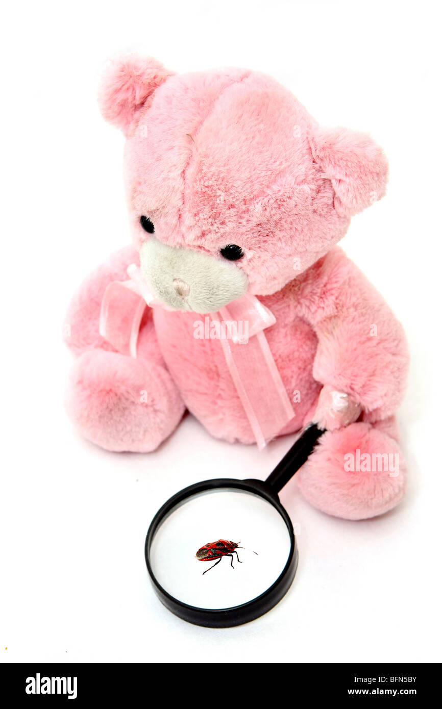 Scientist science teddy bear hi-res stock photography and images - Alamy