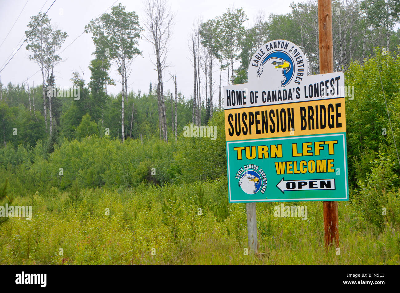 Canada's longest suspension bridge at Eagle Canyon Ontario Canada Stock ...