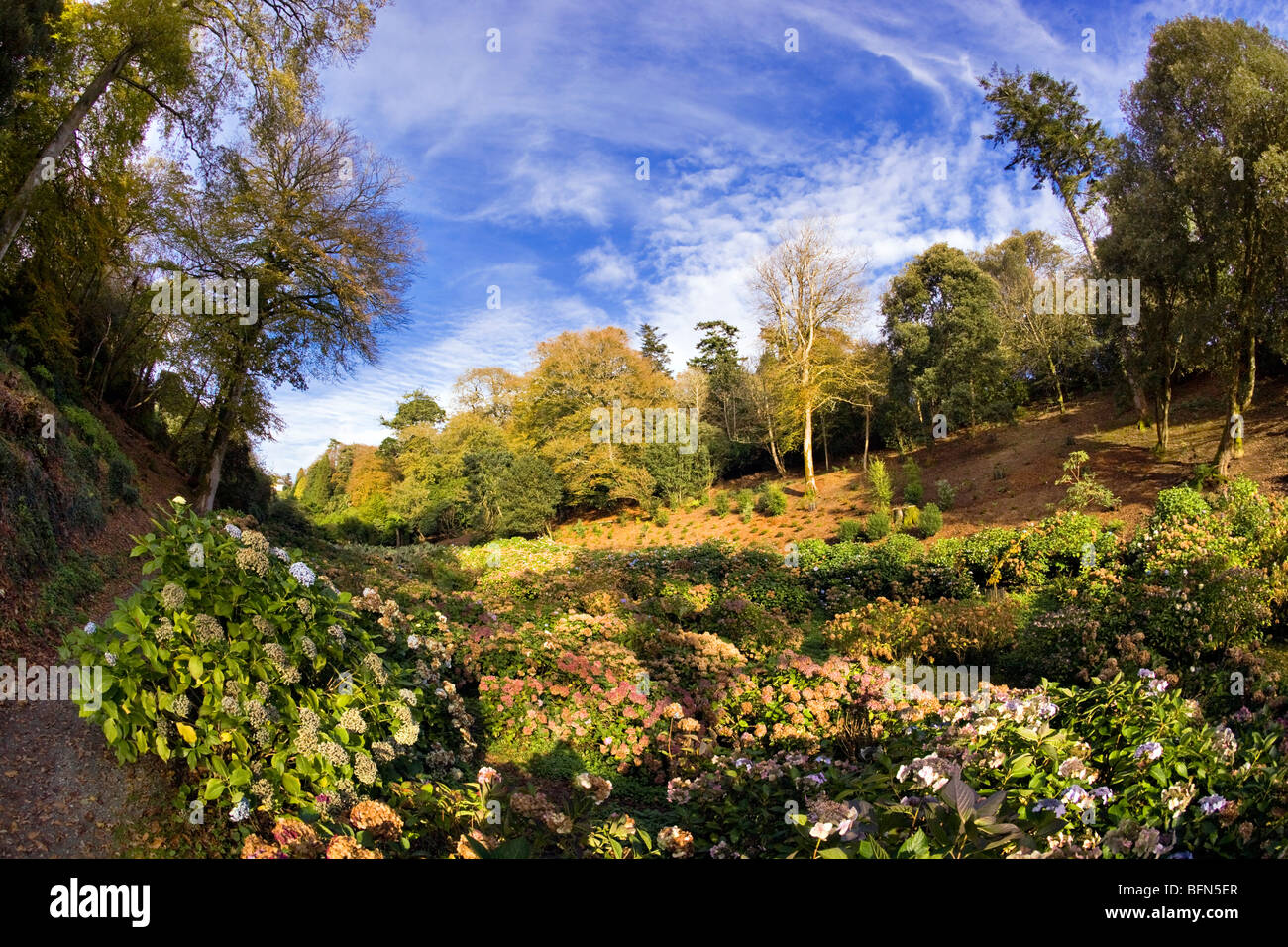 Trebah garden; autumn; taken with fish-eye lens; Cornwall Stock Photo ...