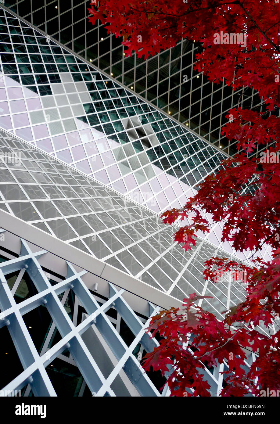 Rem Koolhaas Seattle Public Library at Sarah Scoggins blog