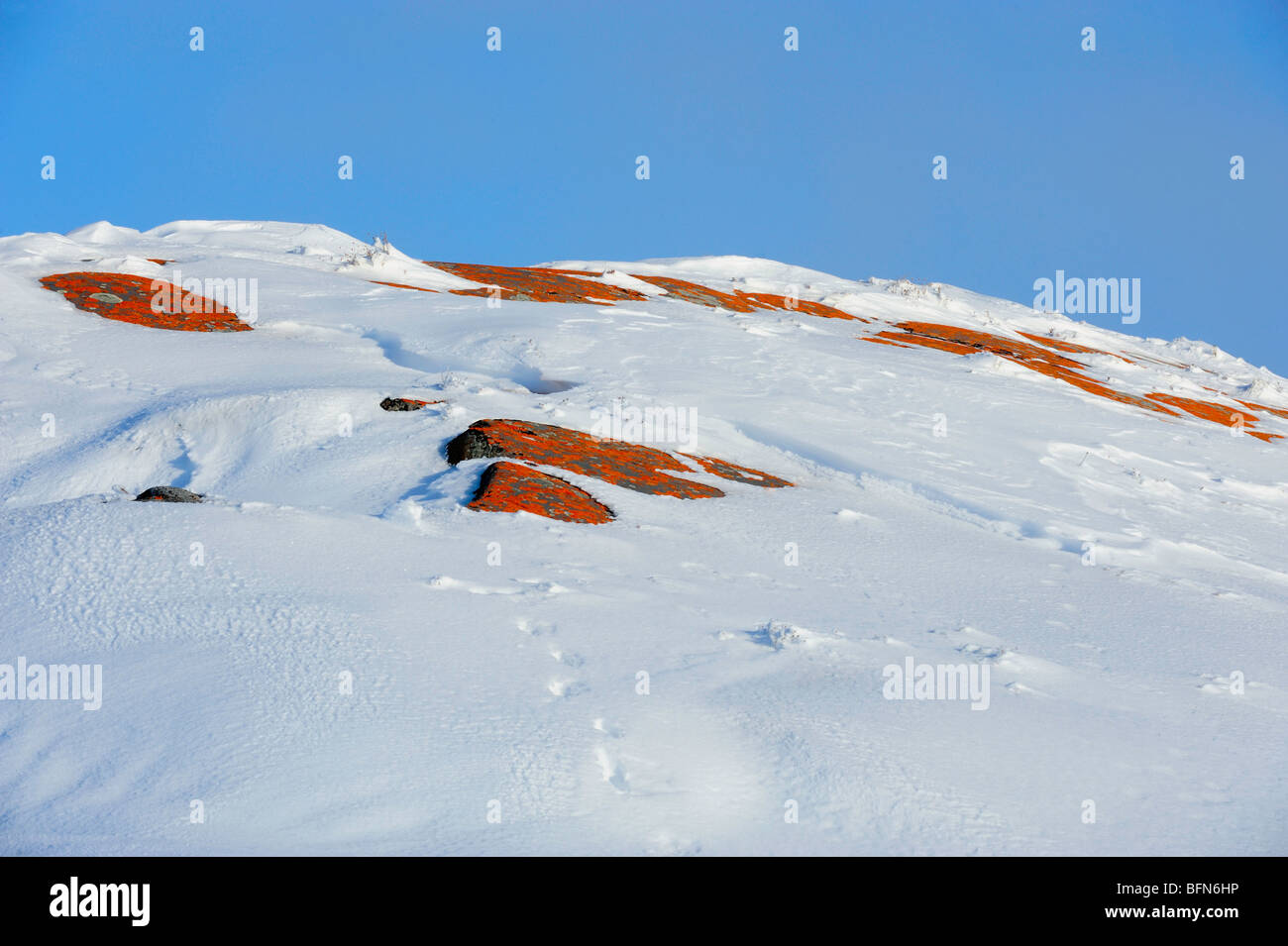 Hudson bay lowlands hi-res stock photography and images - Alamy