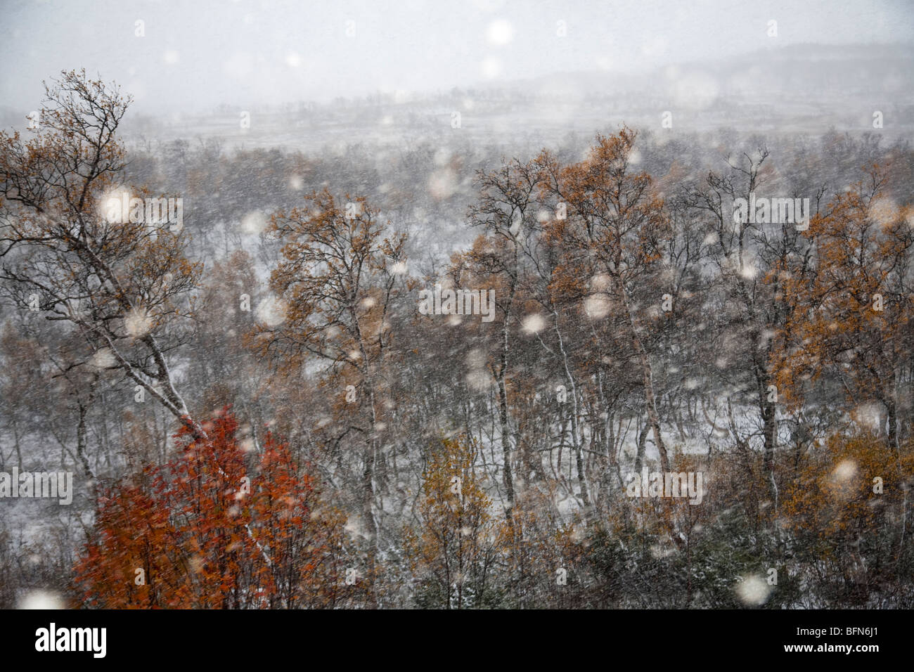 Atmospheric iconic hi-res stock photography and images - Alamy
