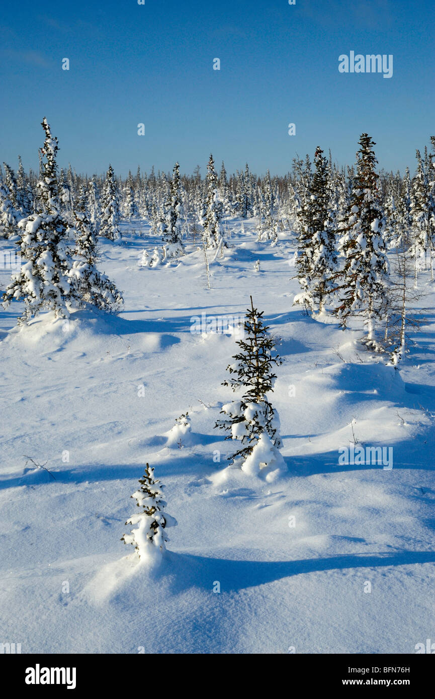 Blowing snow nobody vertical hi-res stock photography and images - Alamy