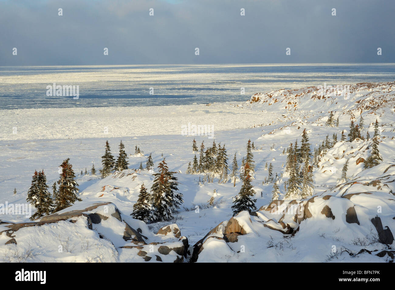 Hudson bay lowlands hi-res stock photography and images - Alamy