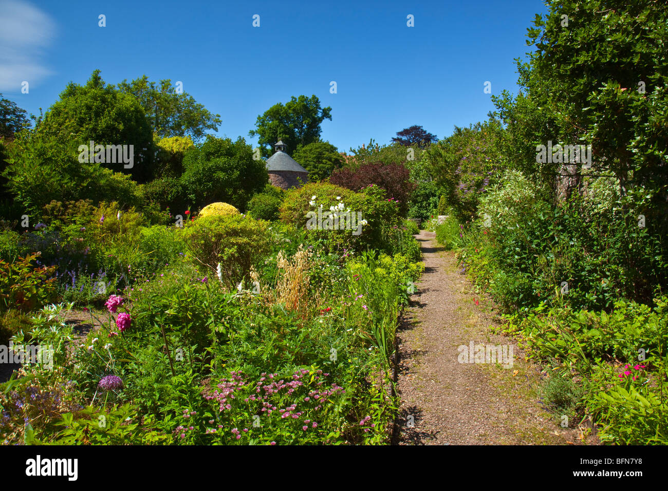 Beautiful summer Devon garden with trees, flowers, shrubs, plants and a ...