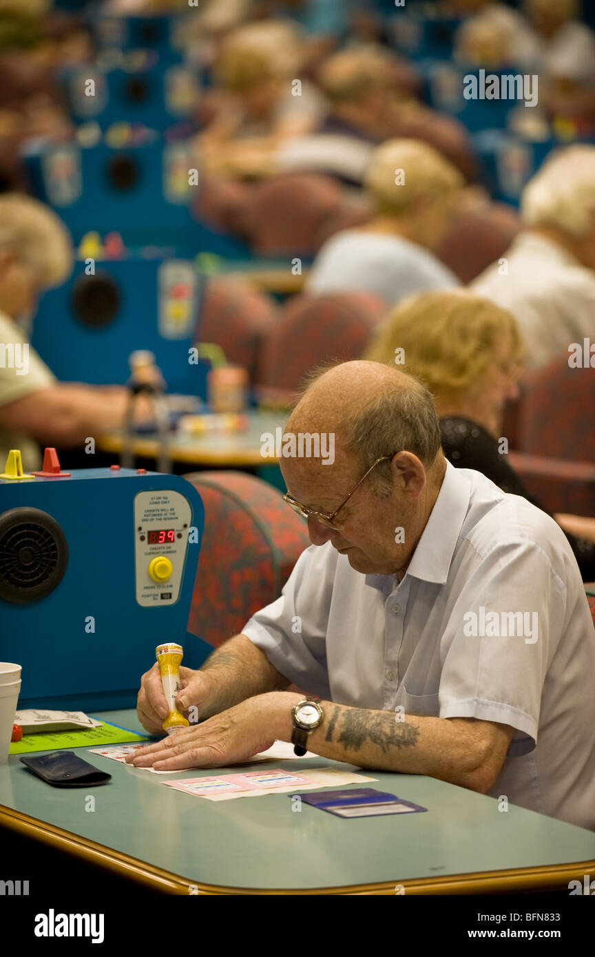 Bingo Old Person