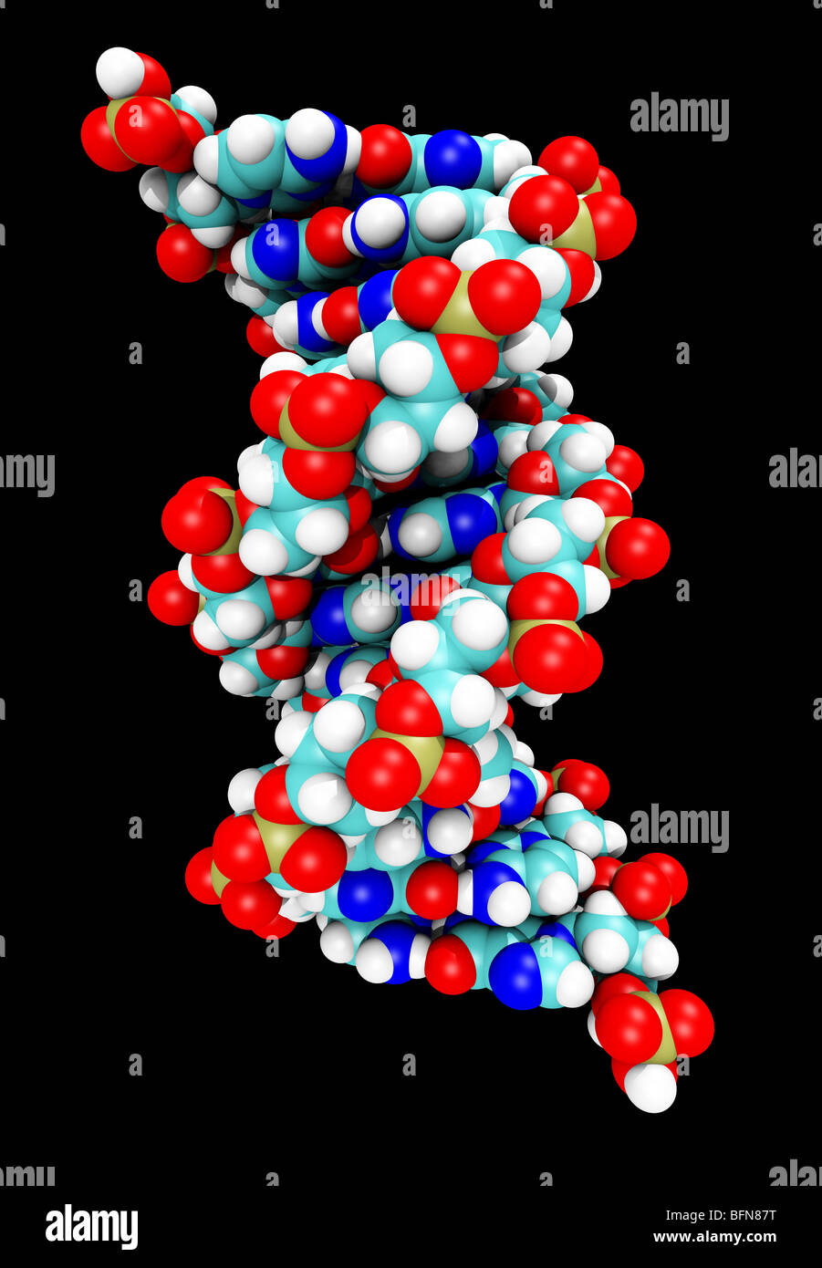 DNA molecule in beta form Stock Photo - Alamy