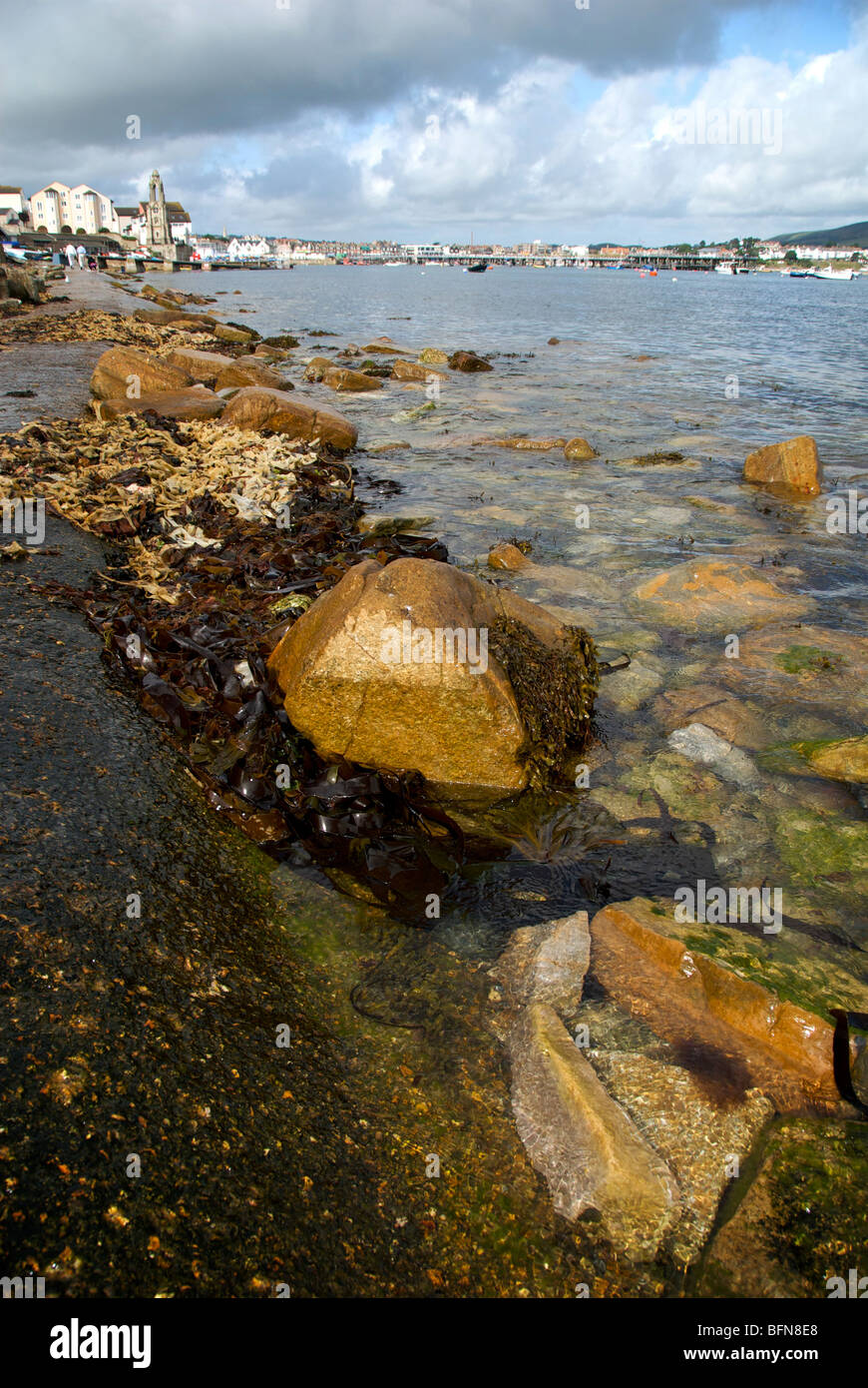 Swanage Dorset UK Peveril Point Peninsula Seaweed Stock Photo - Alamy