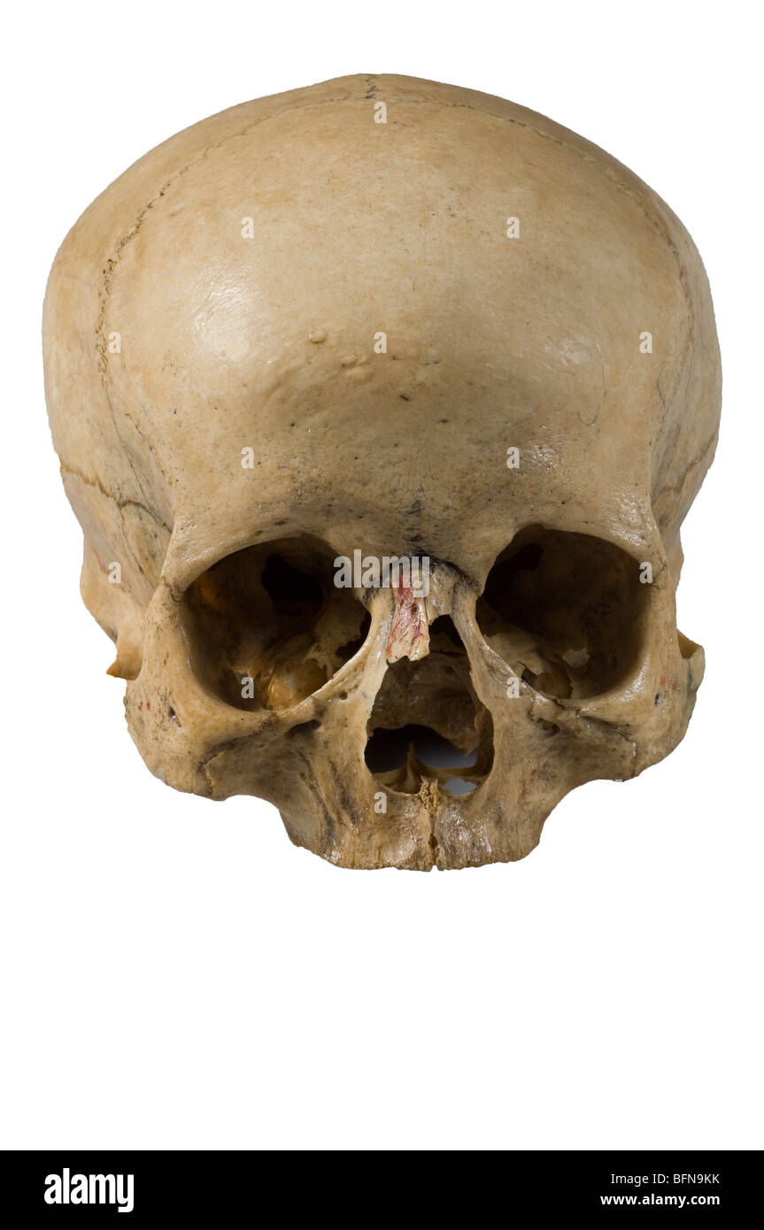 Against human Cut Out Stock Images & Pictures - Alamy