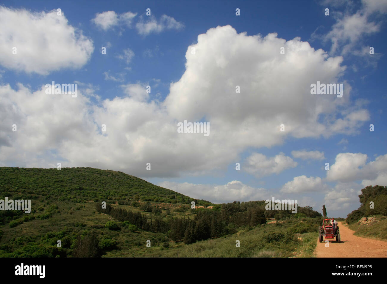 Israel, Lower Galilee. A view of Mount Atzmon Stock Photo - Alamy