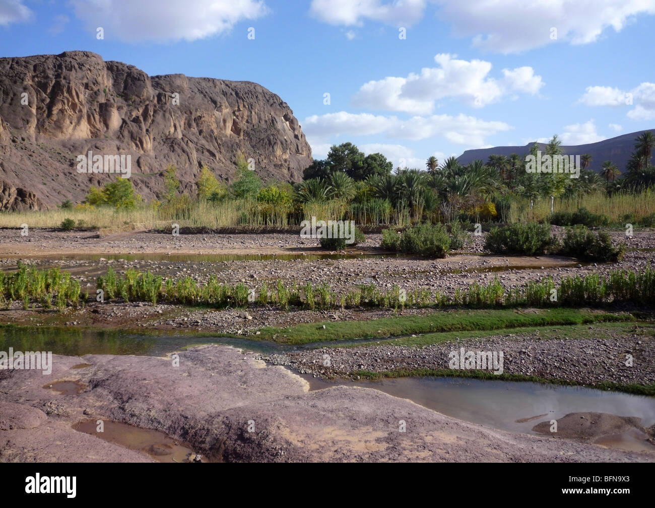 Oasis of flint hi-res stock photography and images - Alamy