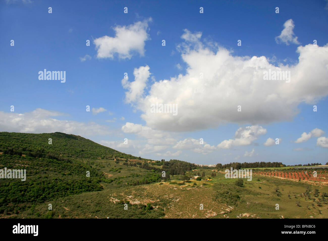 Israel, Lower Galilee. A view of Mount Atzmon from Tel Yodfat Stock ...