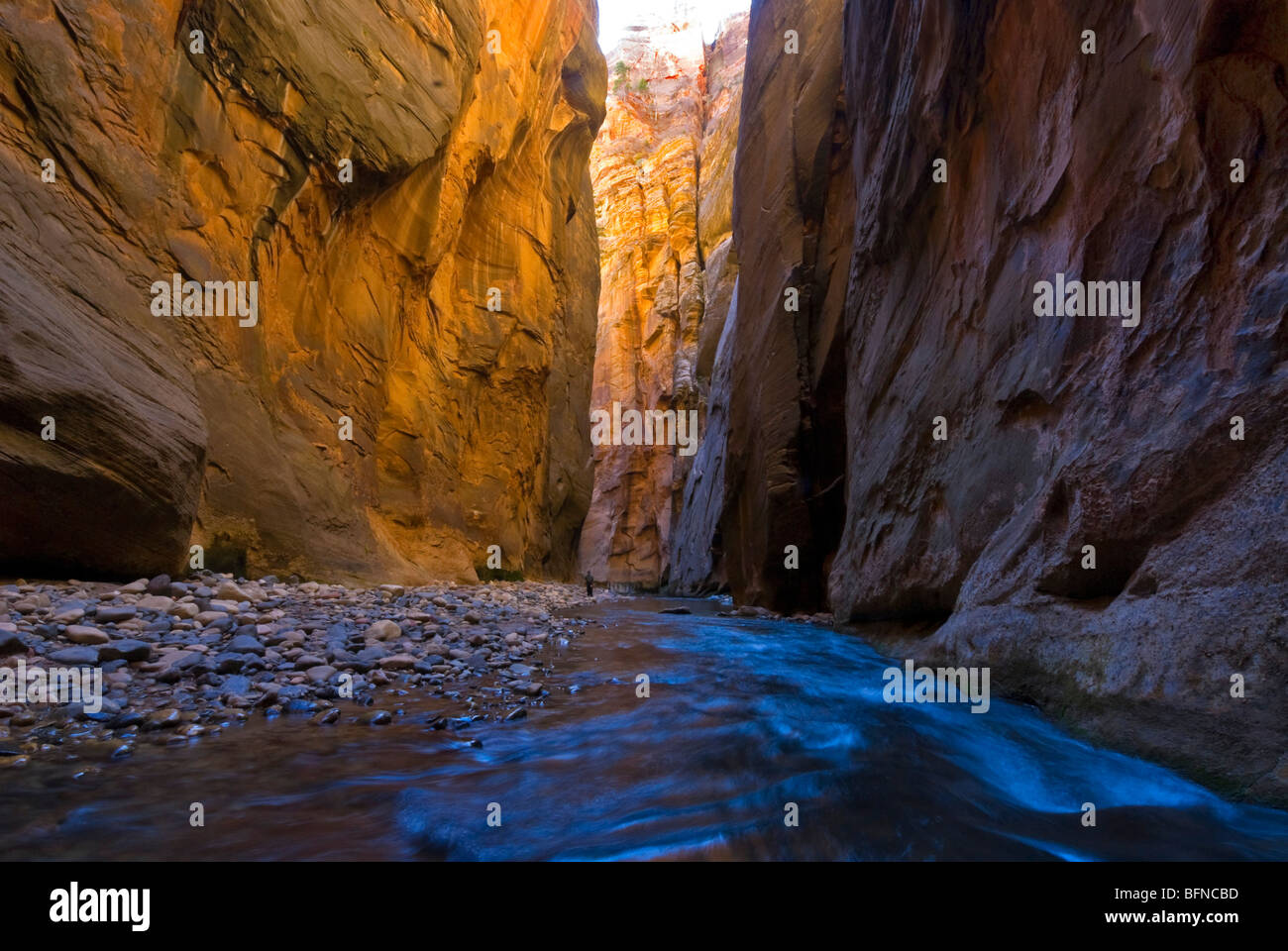 Zion National Park Narrows Virgin river Utah Stock Photo - Alamy