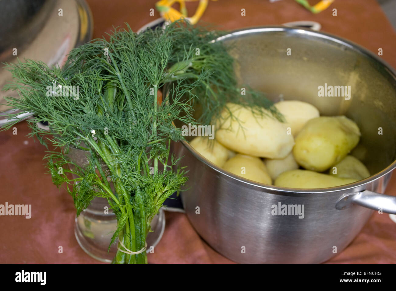Traditional German dinner served in a private home in Mannheim, Germany ...