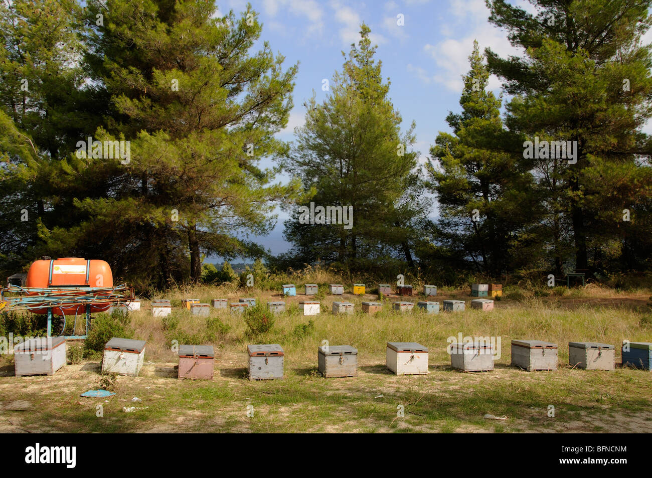 beehives in the Greek countryside at Paliouri in the Kassandra region ...