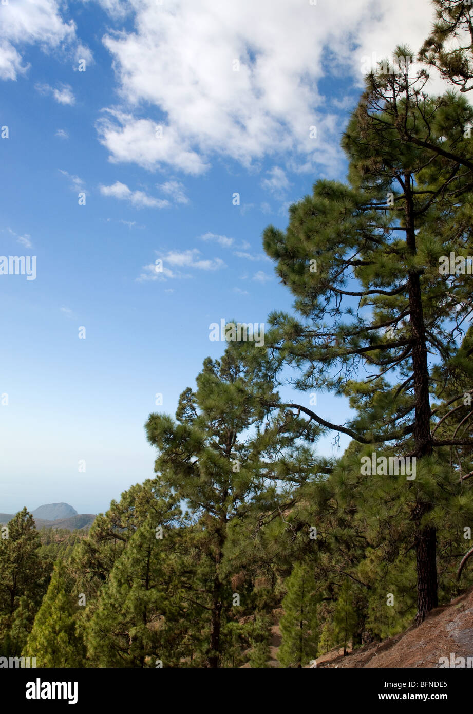 Canary islands national park hi-res stock photography and images - Alamy