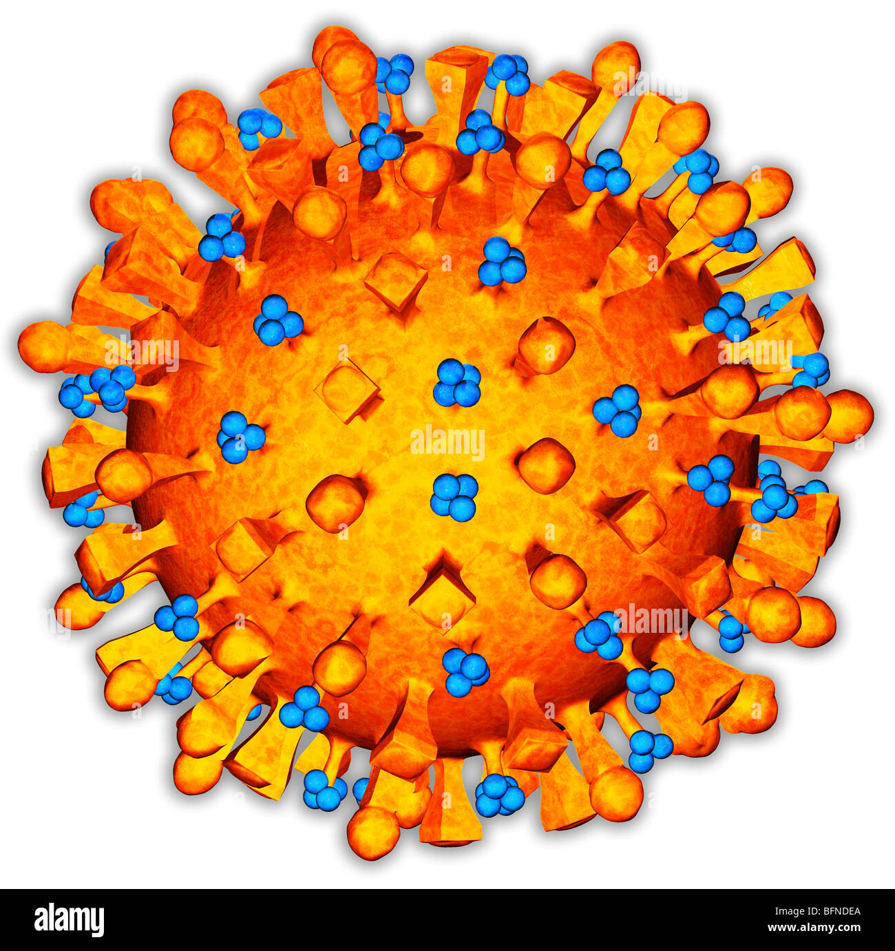 Computer generated three dimensional model of the H5N1 avian influenza ...