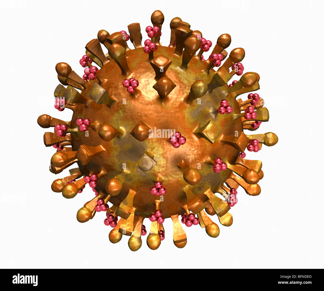 Computer generated three dimensional model of the H5N1 avian influenza ...
