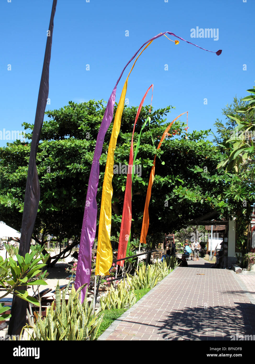 Traditional flags in Sanur beach, Bali, Indonesia Stock Photo - Alamy