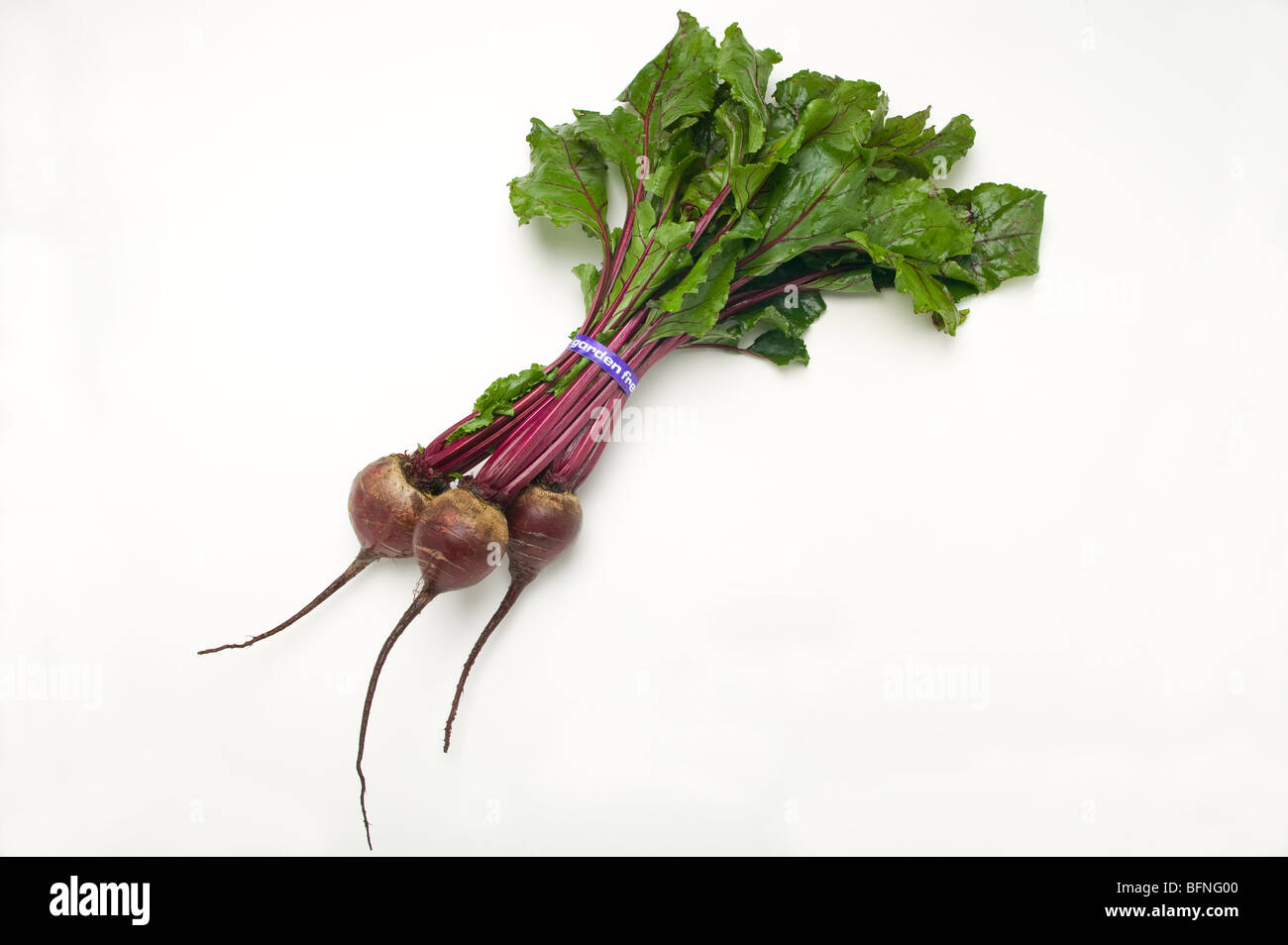 A bunch of fresh organic beets Stock Photo - Alamy