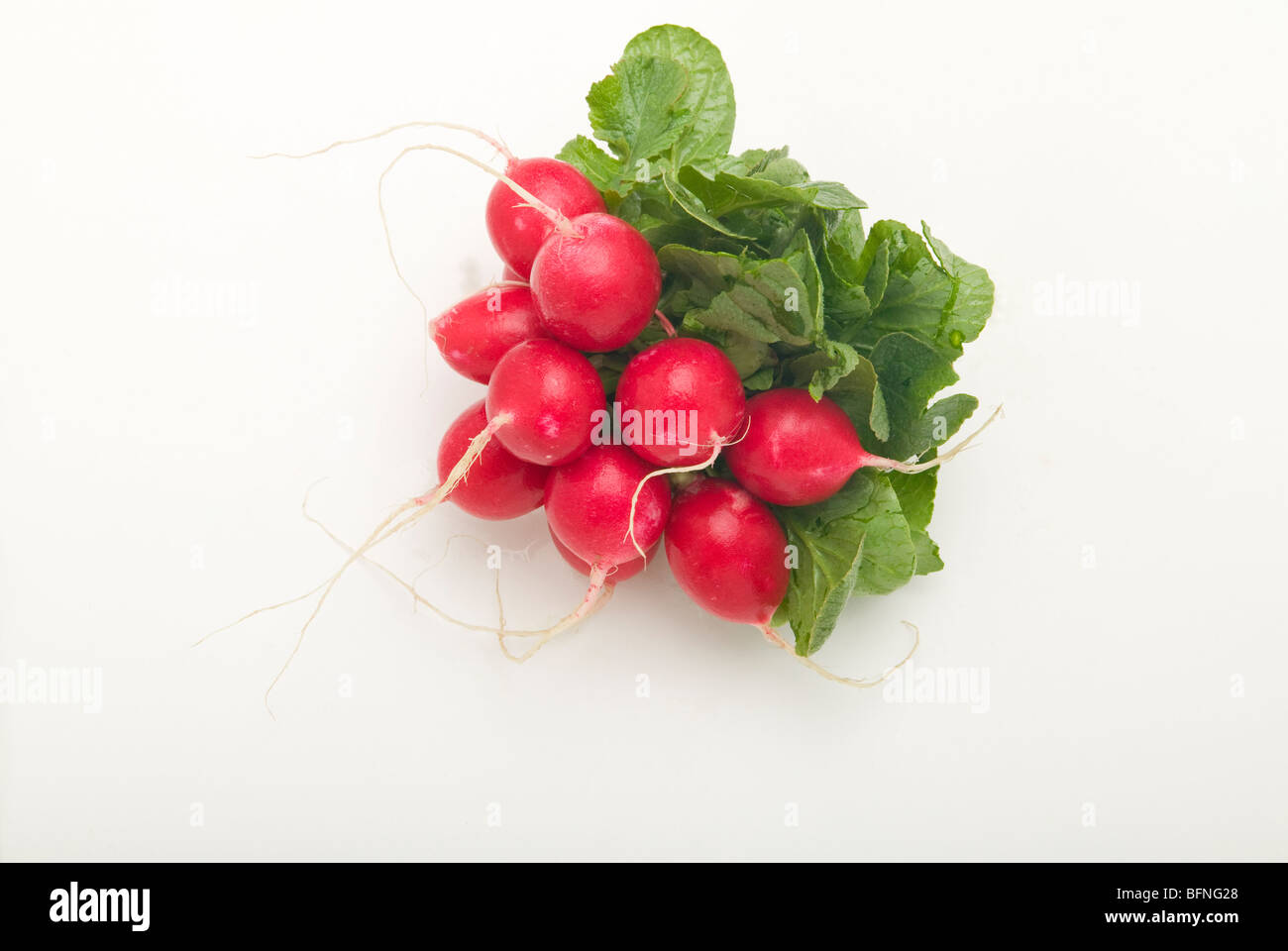 Fresh vegetable food ingredients Cut Out Stock Images & Pictures - Alamy