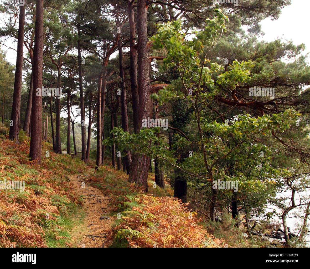 County wicklow ireland hi-res stock photography and images - Alamy