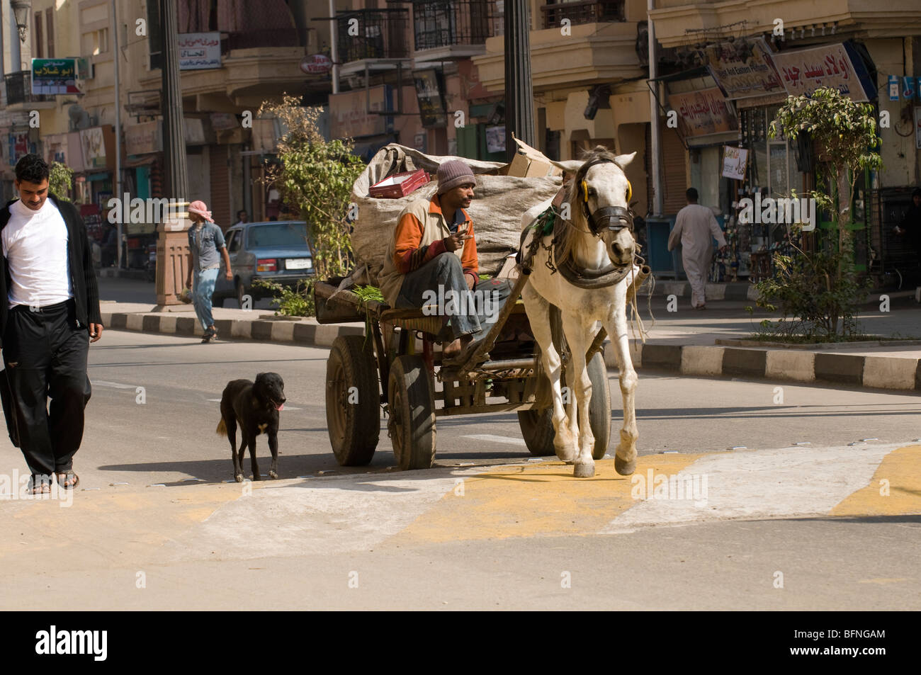 Horse and cart in city centre Luxor Egypt Stock Photo - Alamy