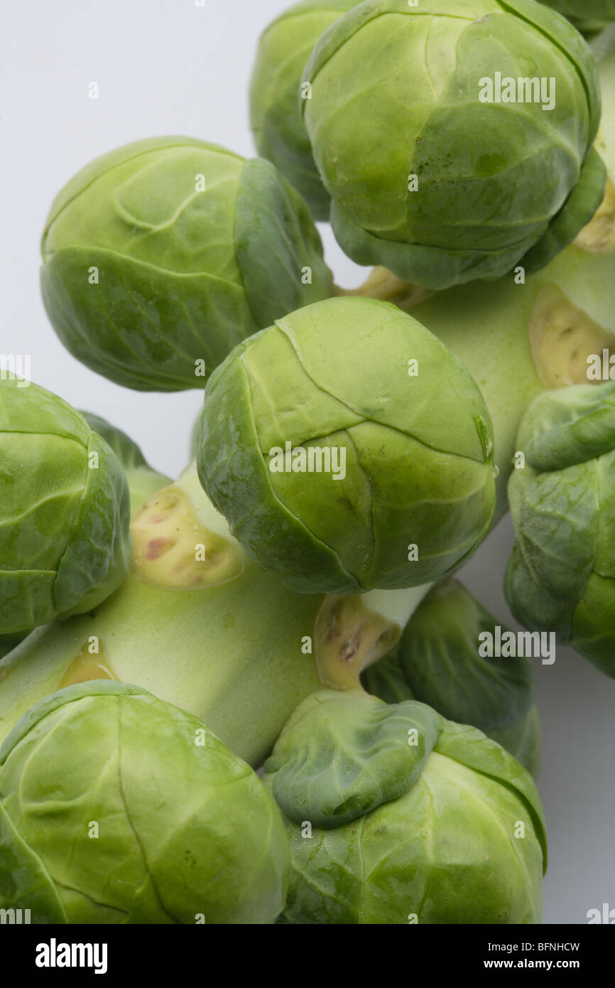 Brussel sprout hi-res stock photography and images - Alamy