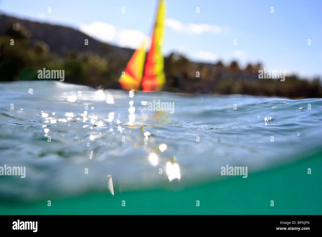 Half submerged in water hi-res stock photography and images - Alamy