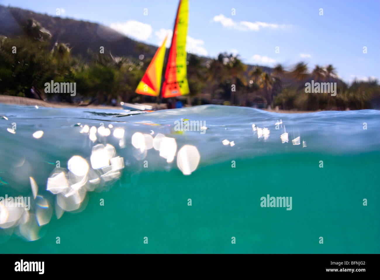 Half submerged in water hi-res stock photography and images - Alamy