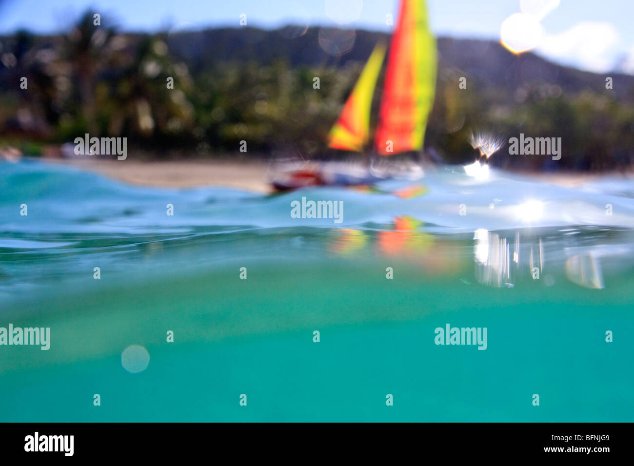 View of a sail catamaran from water Stock Photo - Alamy