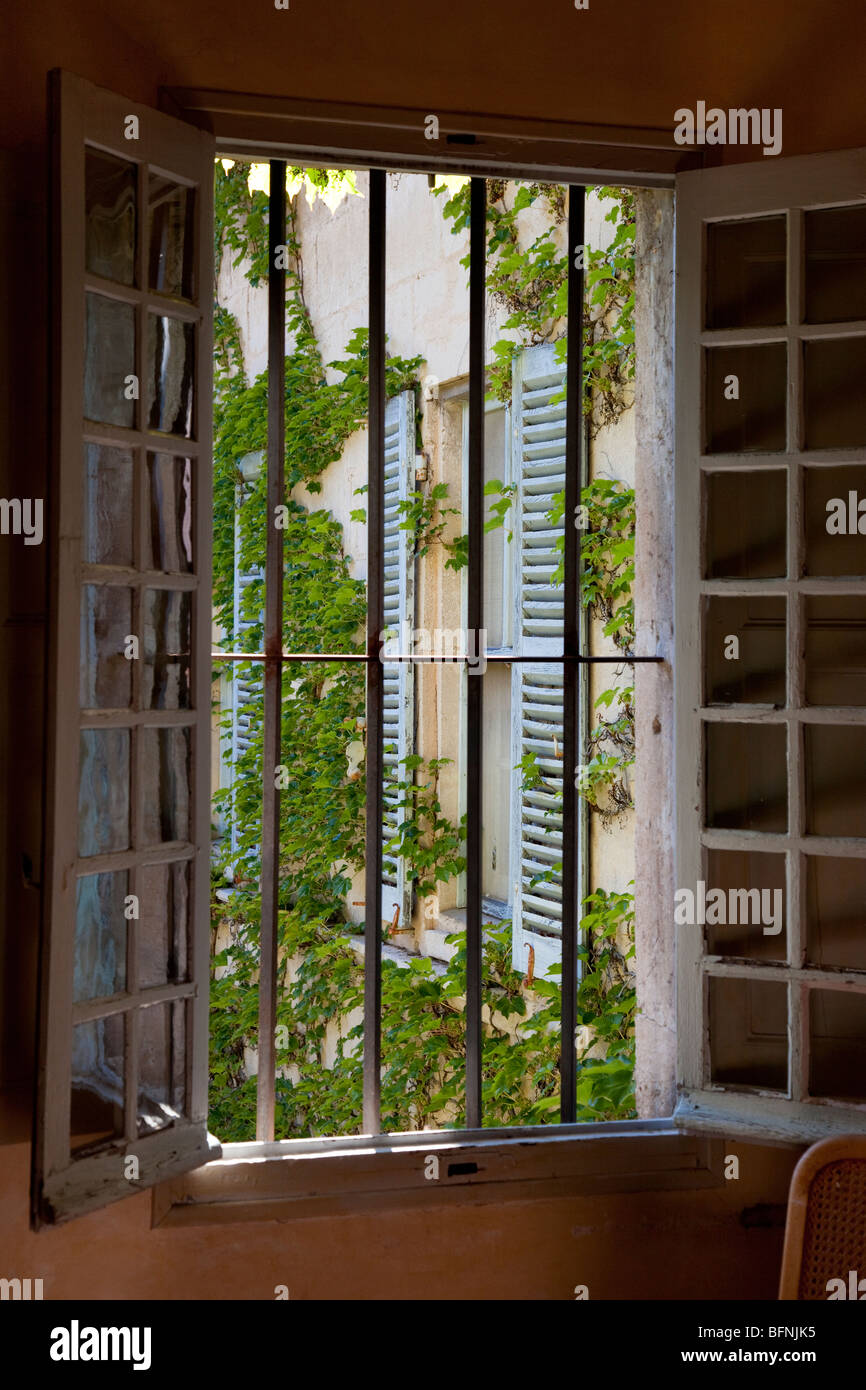 Looking out Vincent's window in the bathroom of Van Gogh's Asylum - St ...