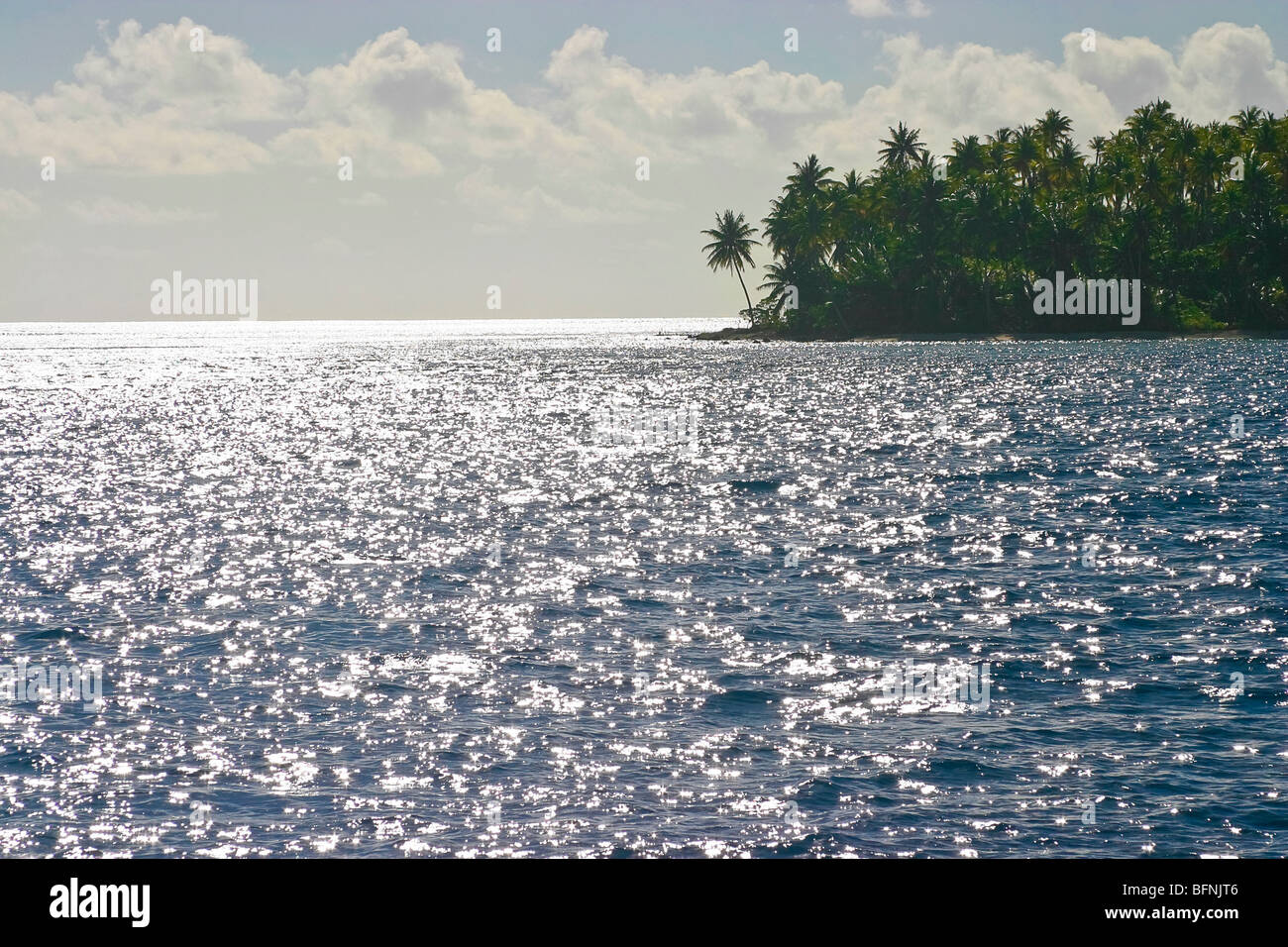 Late afternoon sunlight on palm trees. Apataki atoll, Tahiti Stock ...