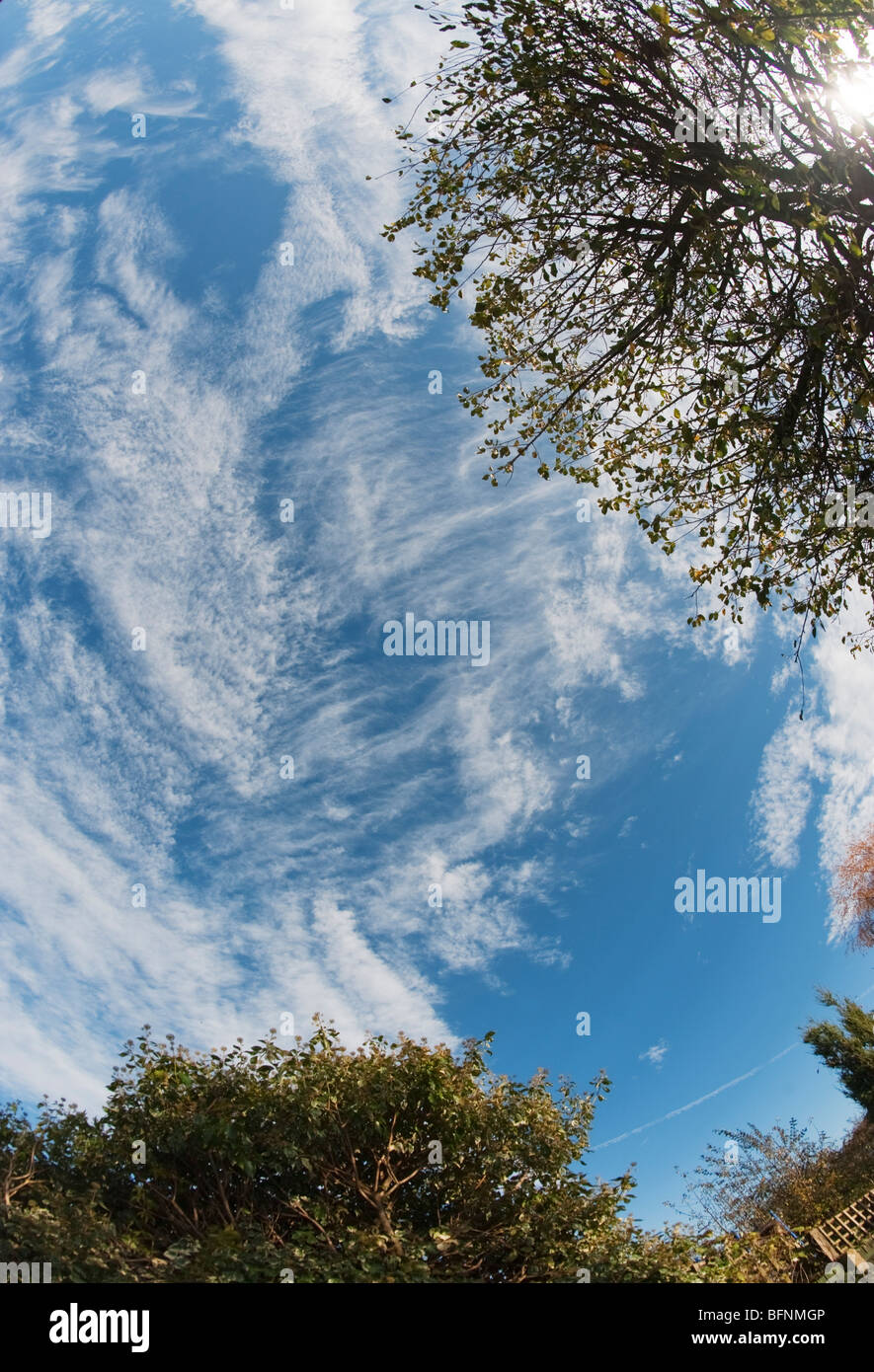 Cloud formations in a blue sky Stock Photo - Alamy