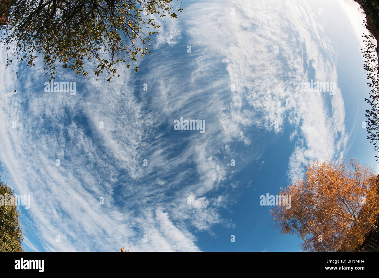 High level Cirrus cloud formations in a blue sky Stock Photo - Alamy